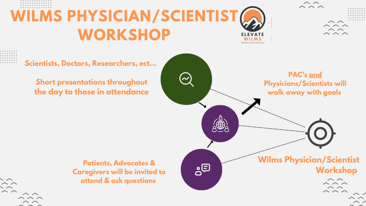 Elevate Wilms Workgroup | Elevate Childhood Cancer Research and Advocacy